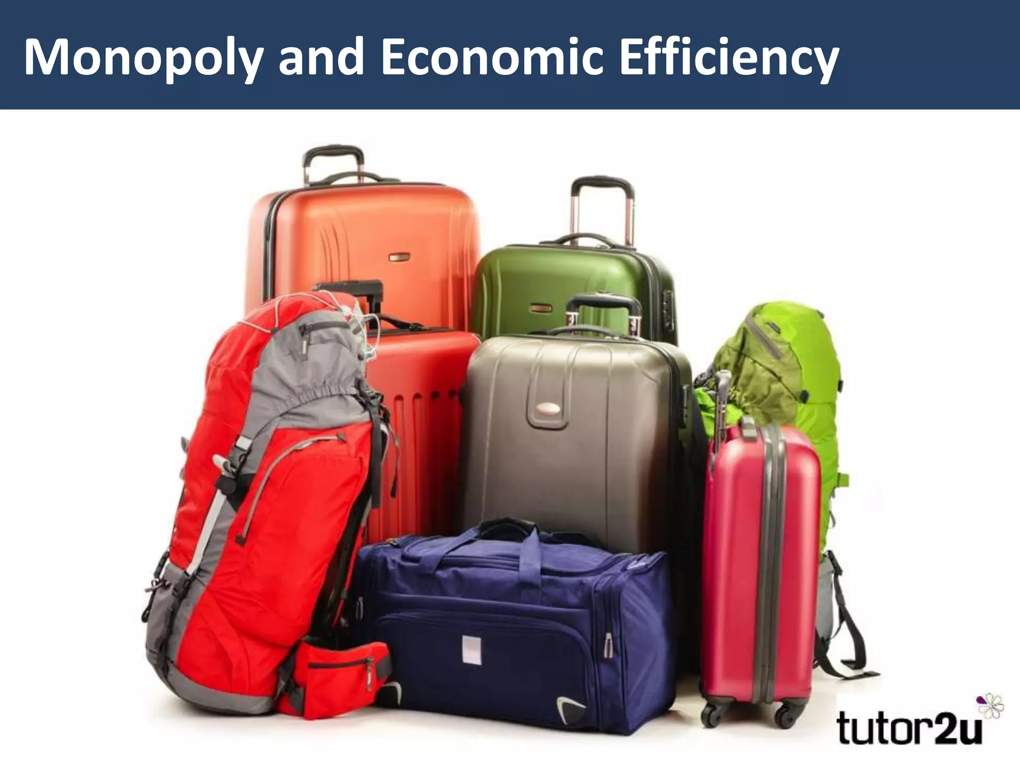 Economics of Monopoly | PPTX