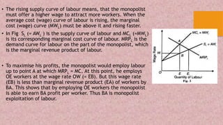 monopony exploitation of labour.pptx