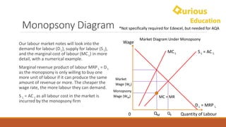 Monopsony Economics Notes - A-level & IB Economics | PDF