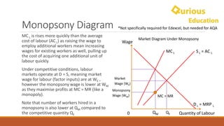 Monopsony Economics Notes - A-level & IB Economics | PDF