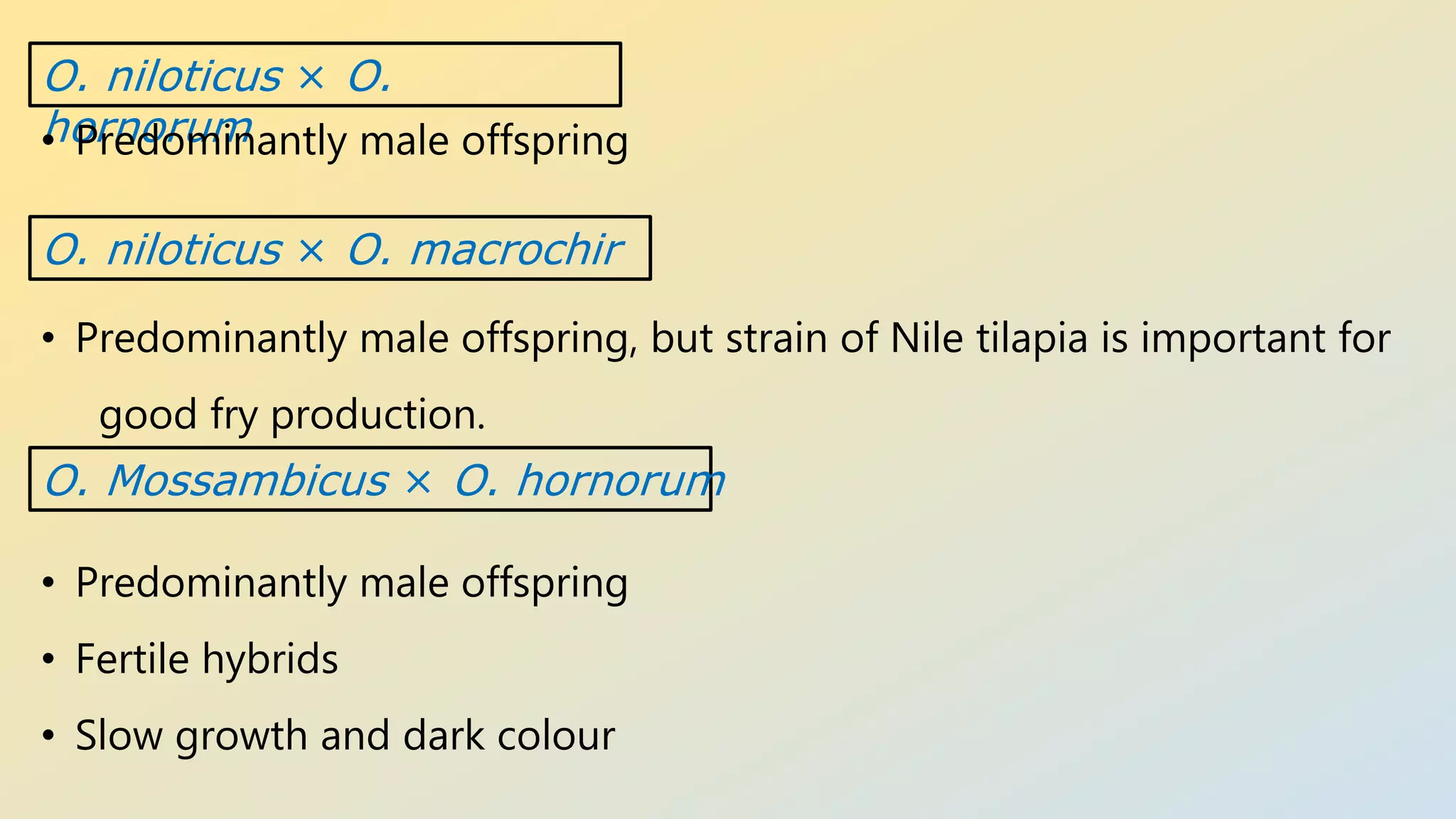 Monosex Production Of Tilapia Ppt