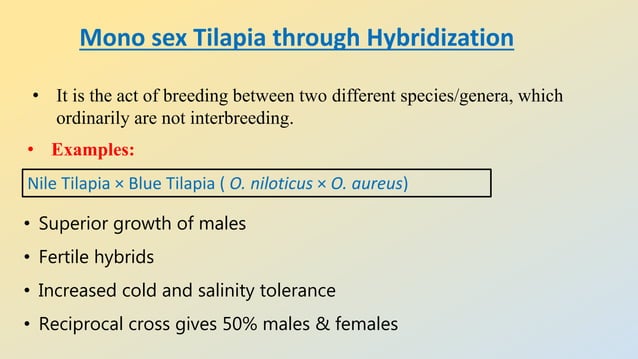 Monosex Production Of Tilapia Ppt