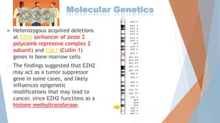 Monosomy 7 | PPT | Free Download