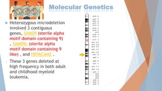 Monosomy 7