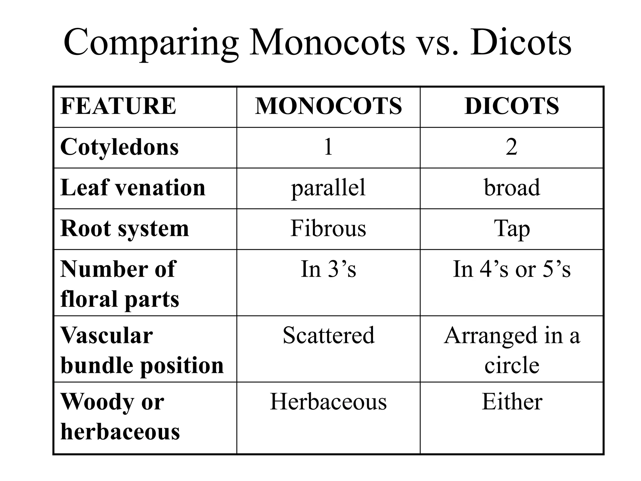 monocot_vs_dicot.ppt presentation on types of seed | PPT