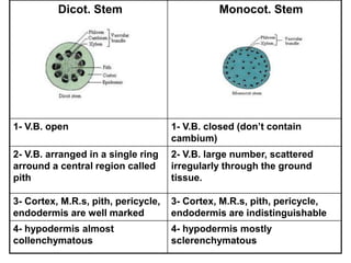 Monocotyledons vs dicotyledons 9 | PDF