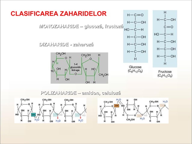 Proiect11B_Dinita_Carmen | PPT