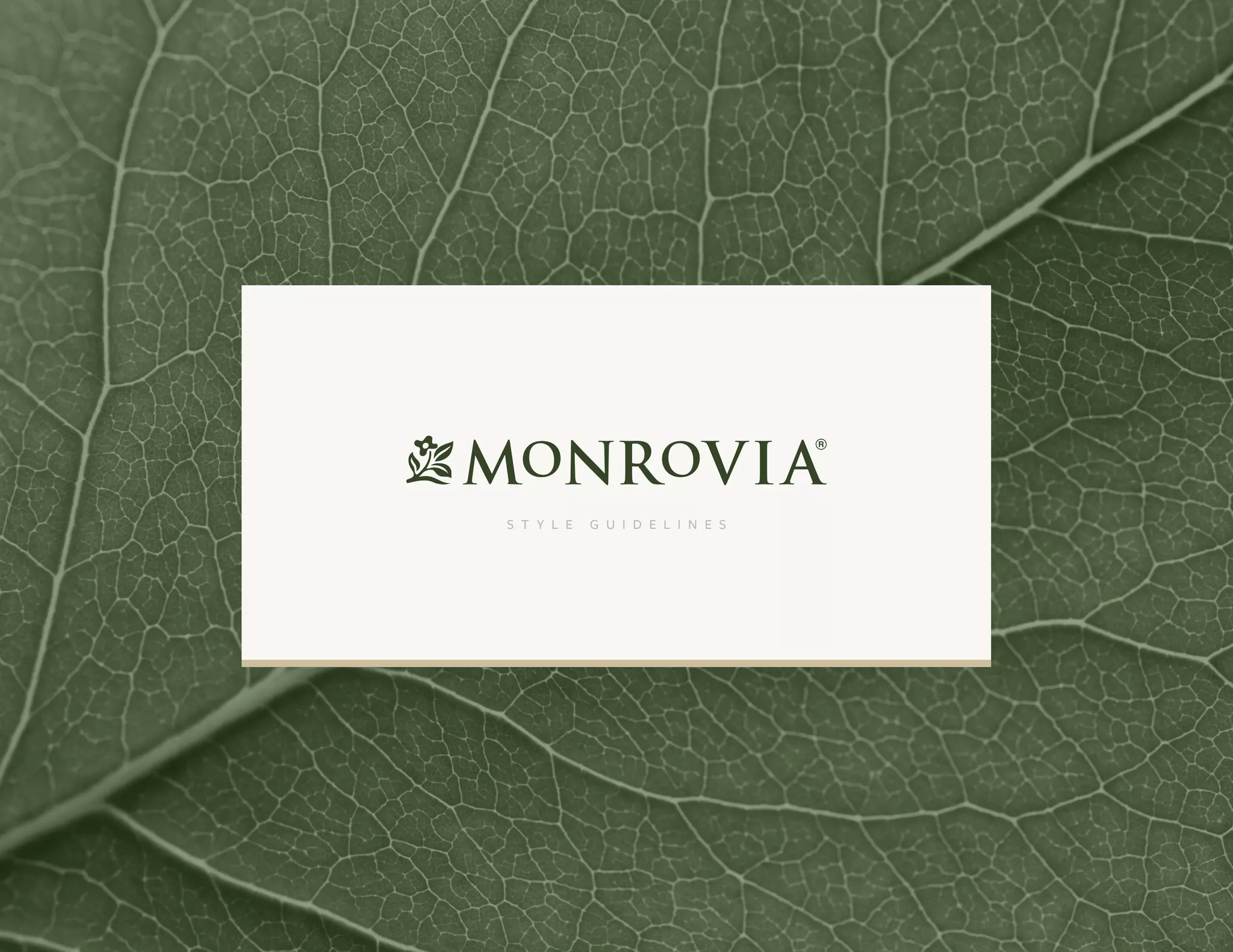 Monrovia Brand Guide | PPT