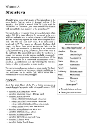 Monstera wikipedia | PDF | Gardening | Home & Garden