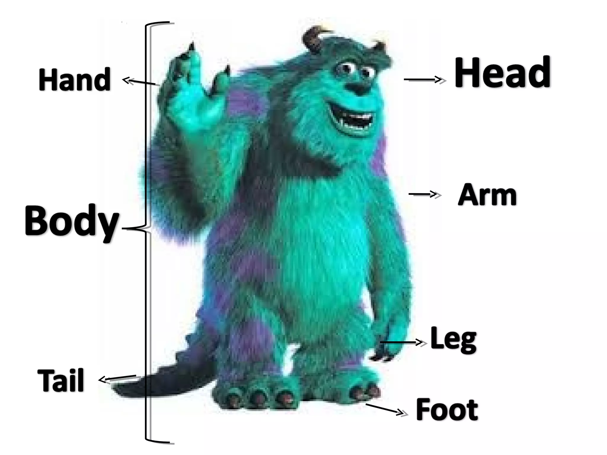Monsters | PPT