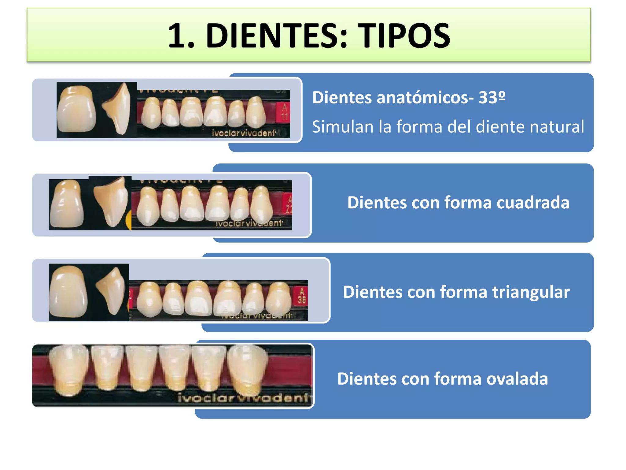 Montaje de los dientes enfilado | PDF | Oral care | Personal Care