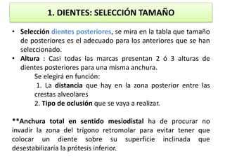 Montaje de los dientes enfilado | PDF | Oral care | Personal Care