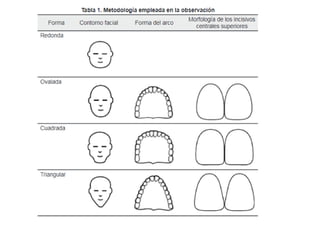 Montaje de los dientes enfilado | PDF