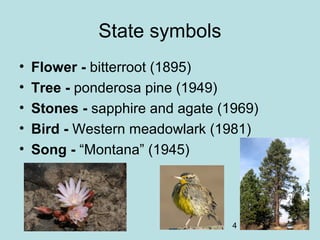 Montana, US states | PPT