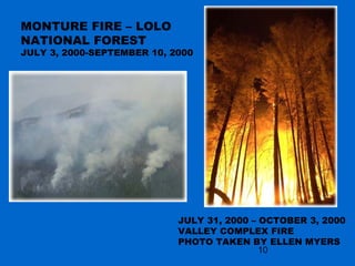 Montana History: Natural Disasters | PPT