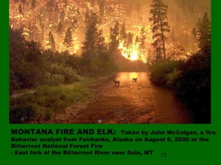 Montana History: Natural Disasters | PPT