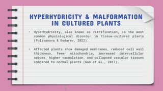 Plant Tissue Culture Summary Reportttttt | PDF