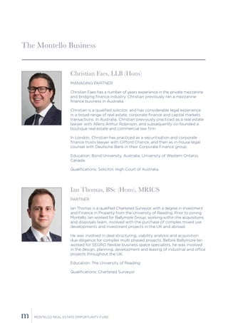 Montello Real Estate Opportunity Fund Summary Info | PDF | Financial ...