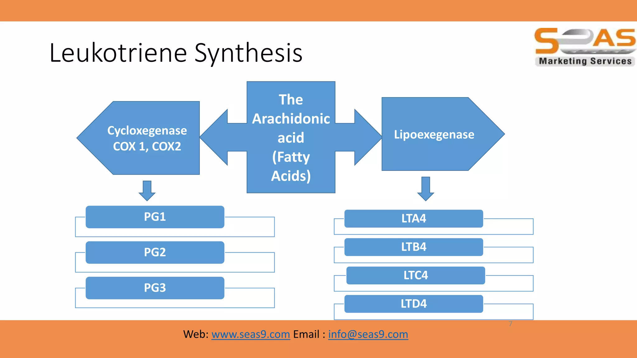 Montelukast, Asthma, Allergy | PPTX