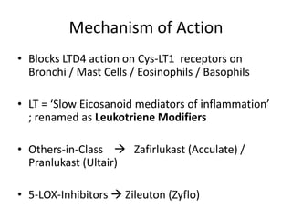 Montelukast by aseem | PPT