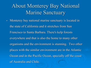 Montery bay (1) | PPTX | Geography | Science