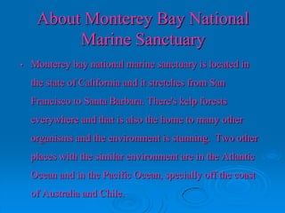 Montery bay (1) (2) | PPTX