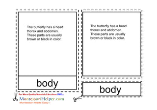 Montessori butterfly nomenclature cards ages 6 to 9 | PDF