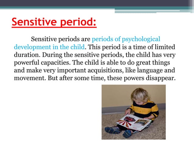 Montessori Education Sensitive Period | PPTX | Daycare and Pre-School ...