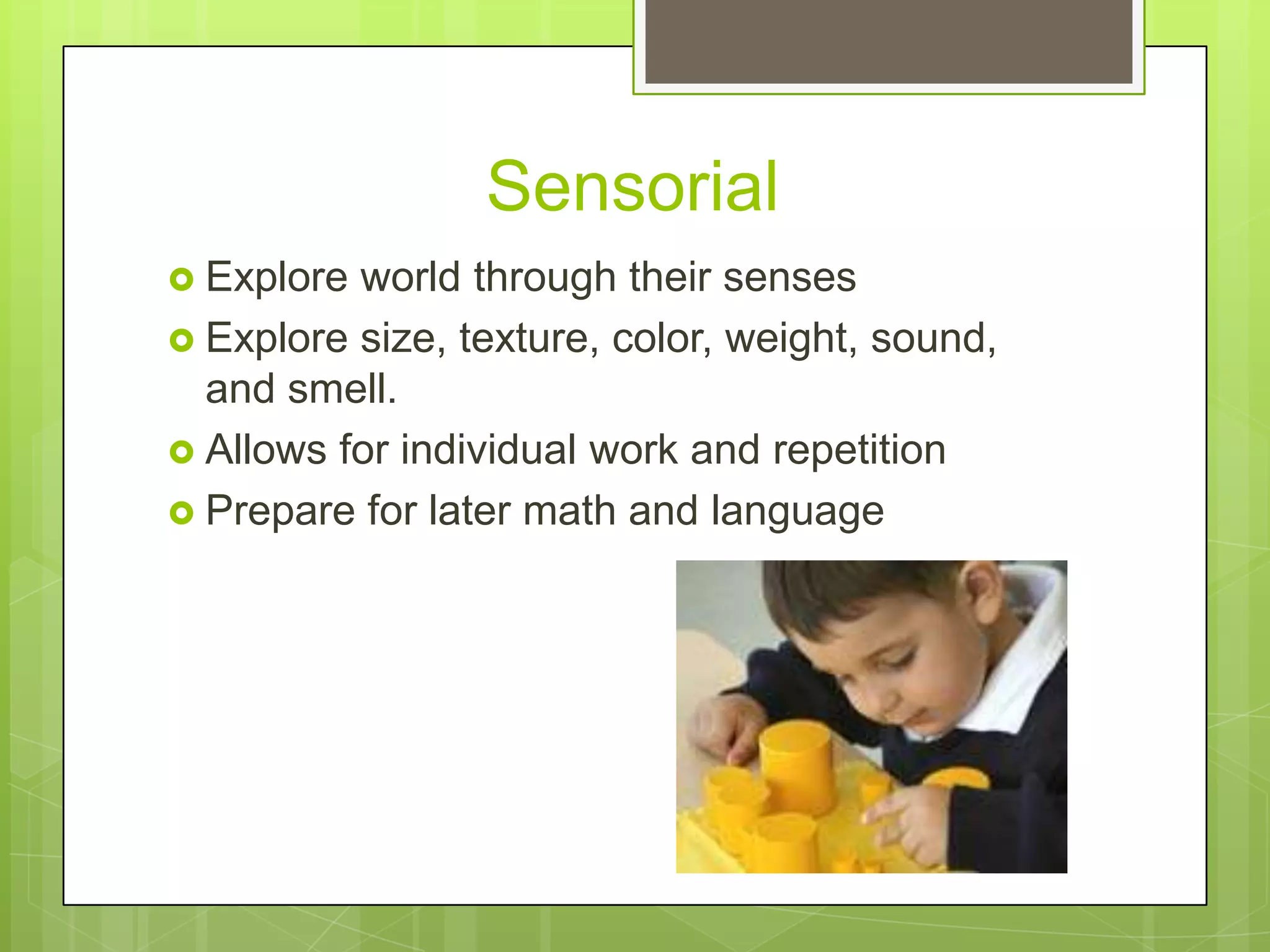 Montessori Presentation | PPTX