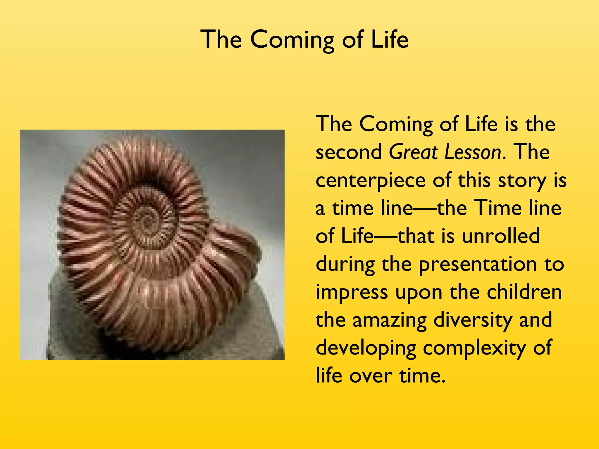 Montessori's Great Lessons | PPT