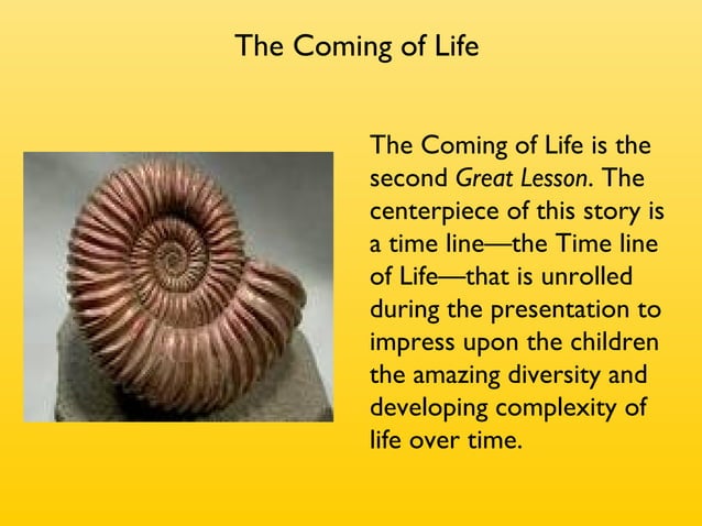 Montessori's Great Lessons | PPT