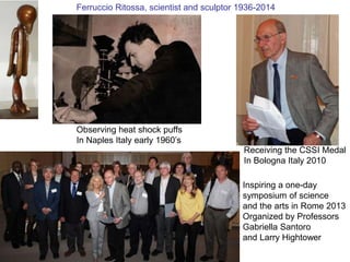 Montevideo2014 cssi historyupdated | PPT