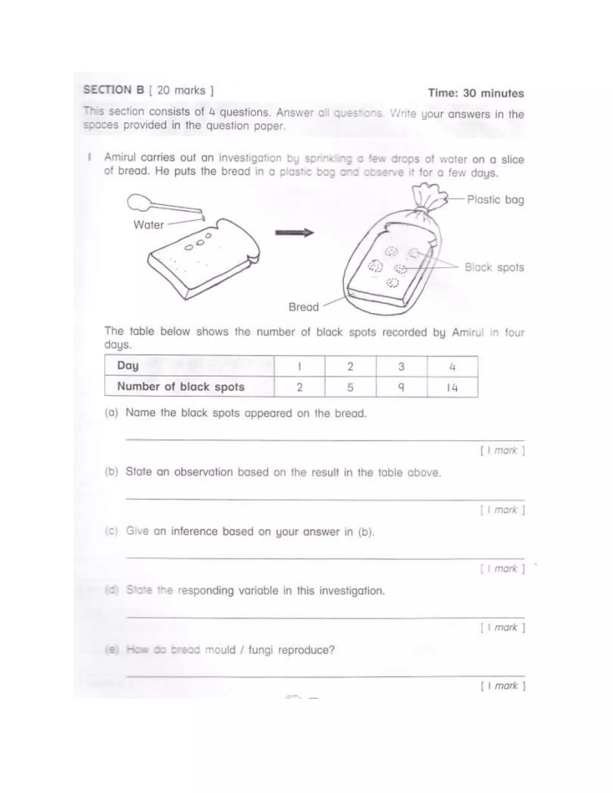 Monthly test 1 | DOCX