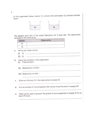 Monthly test 1 | DOCX
