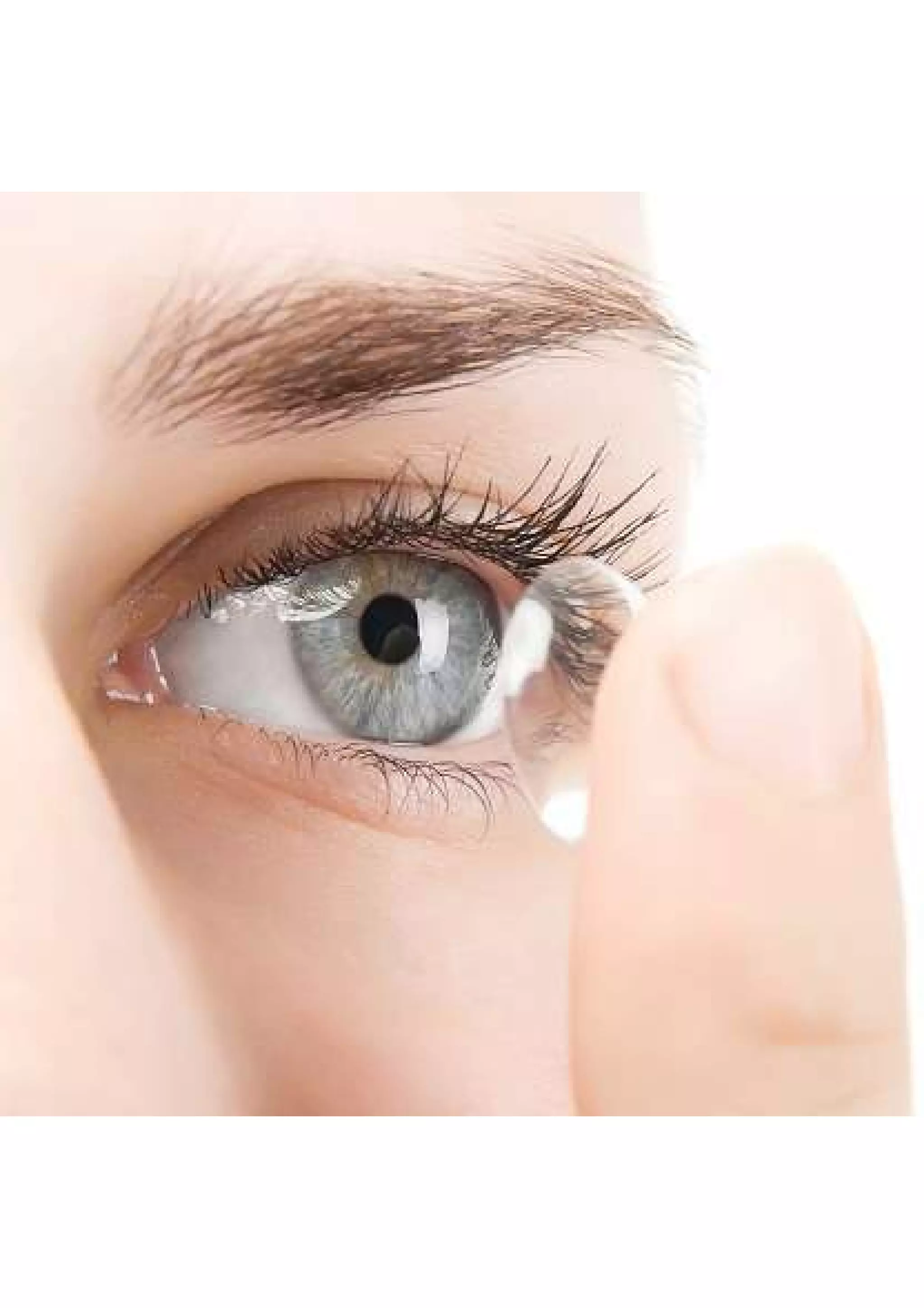 Monthly Contact Lenses.pdf