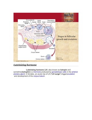Monthly ovarian cycle | DOC