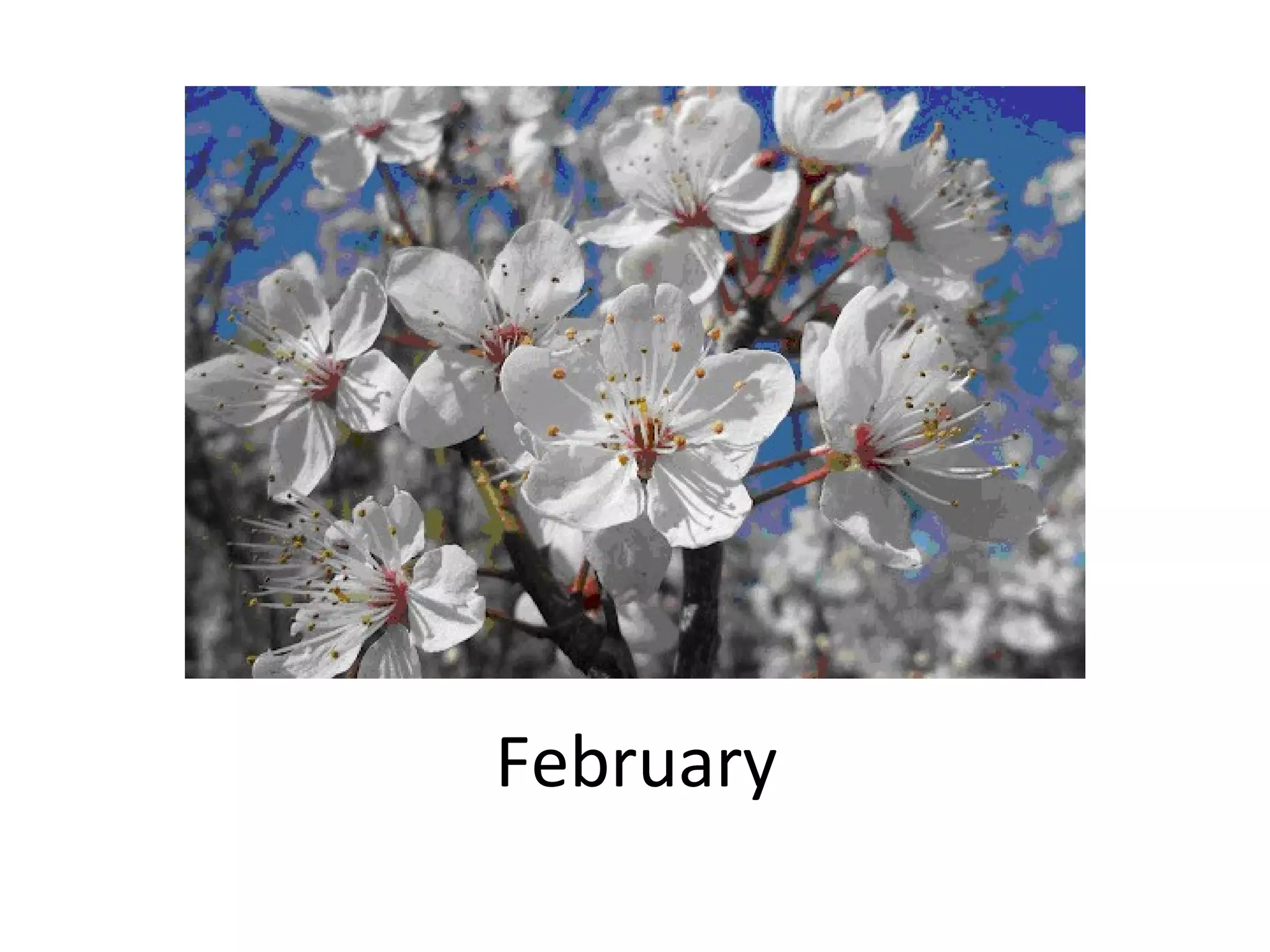 Months of the year (Pronunciation) - Pronuncia los meses del año | PPT