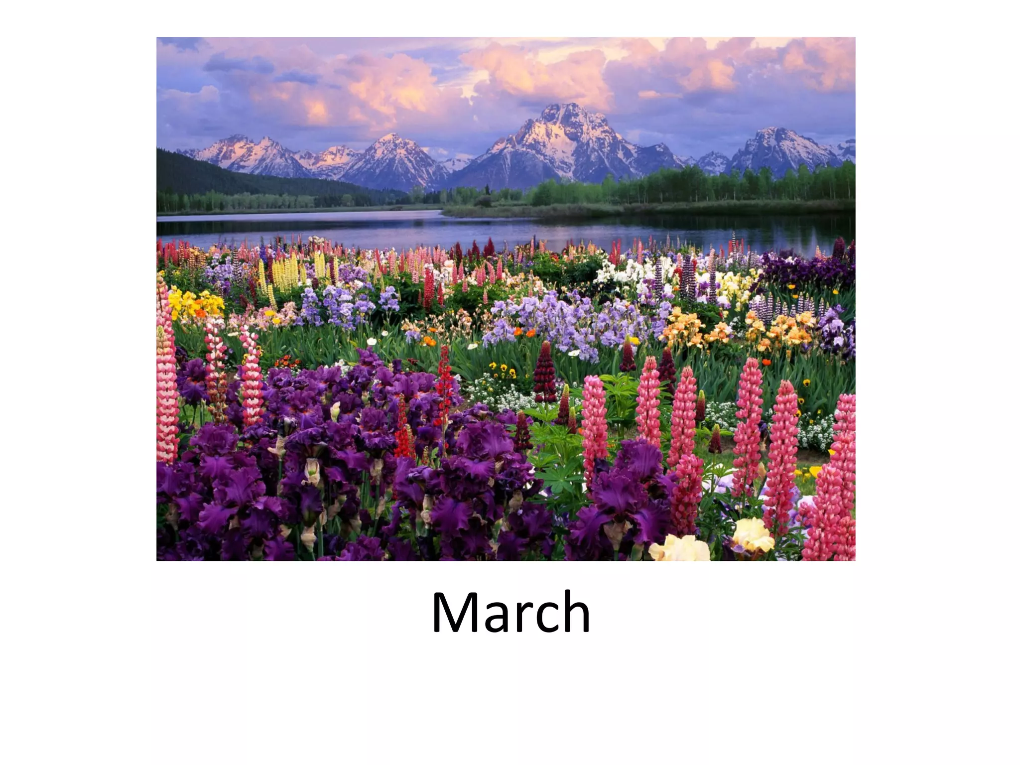 Months of the year (Pronunciation) - Pronuncia los meses del año | PPT