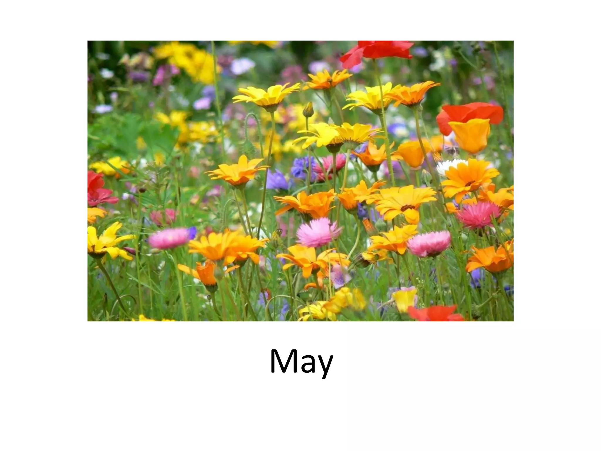 Months of the year (Pronunciation) - Pronuncia los meses del año | PPT