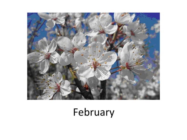 Months of the year (Pronunciation) - Pronuncia los meses del año | PPT