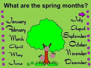 Months.pptx