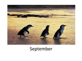 Months pronunciation in english | PPT