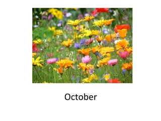 Months pronunciation in english | PPT