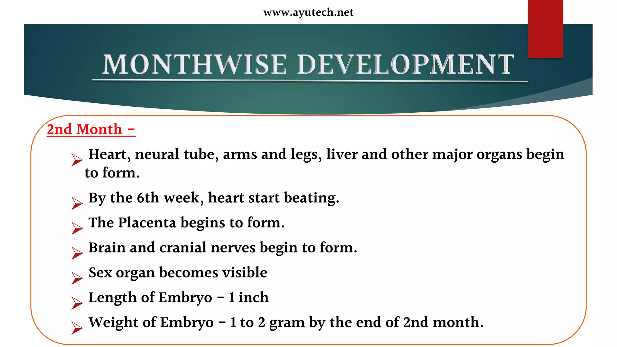 Monthwise fetal development (मासानुमासिक गर्भ वृद्धी) | PDF