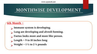 Monthwise fetal development (मासानुमासिक गर्भ वृद्धी) | PDF