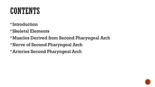 Development of pharyngeal arches in embryology. | PPTX