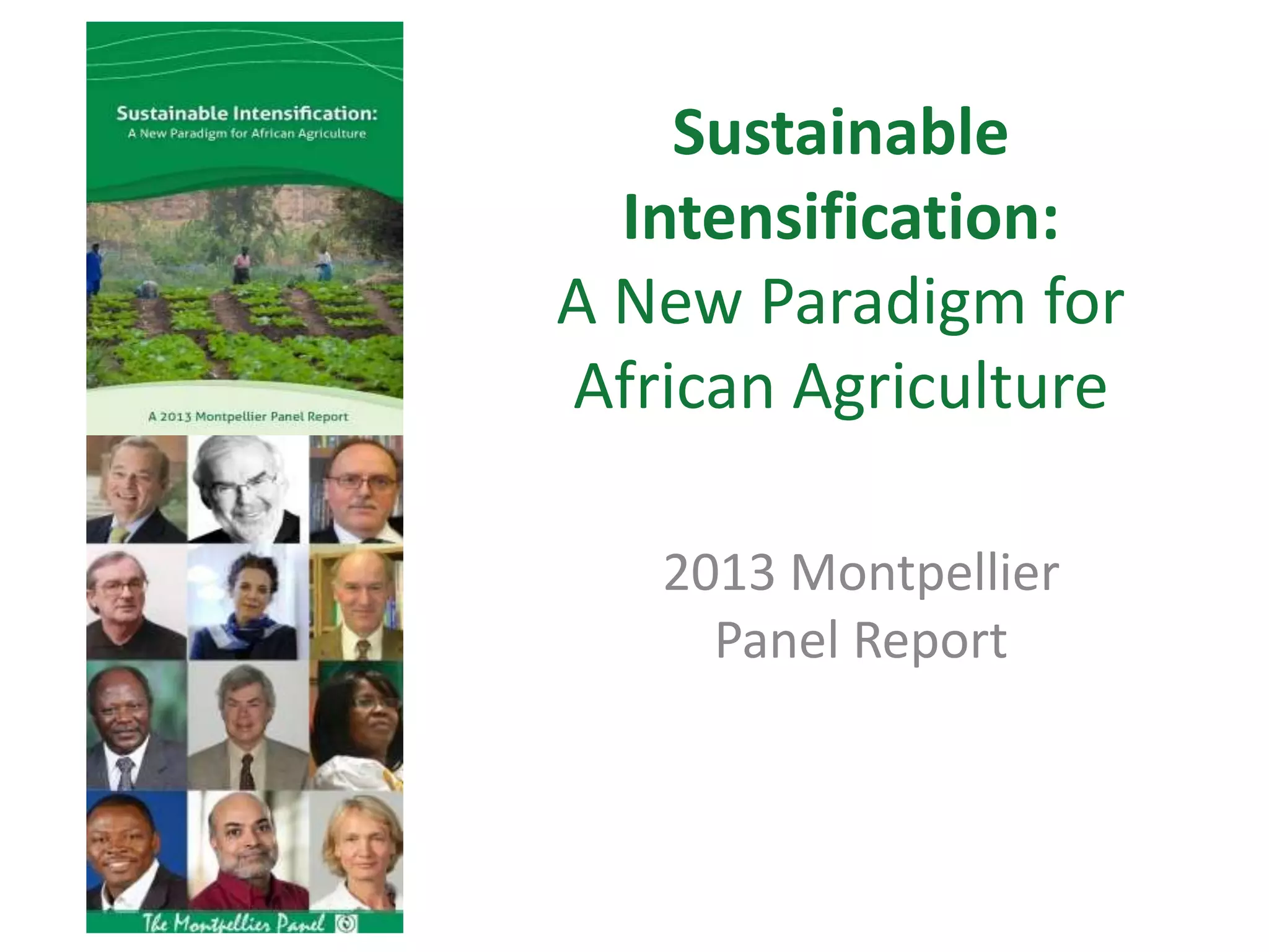 Sustainable Intensification: A New Paradigm for African agriculture ...