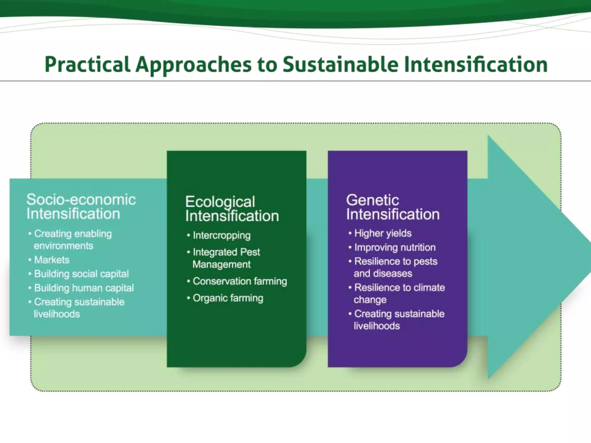 Sustainable Intensification: A New Paradigm for African agriculture ...