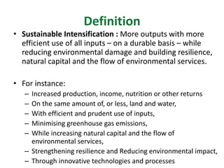 Sustainable Intensification: A New Paradigm for African agriculture ...