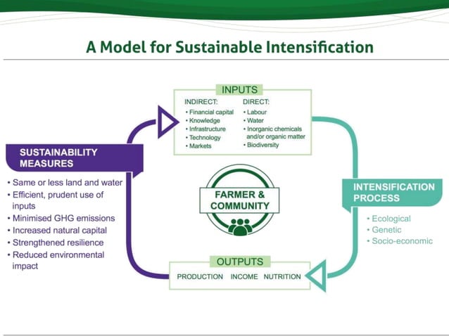 Sustainable Intensification: A New Paradigm for African agriculture ...